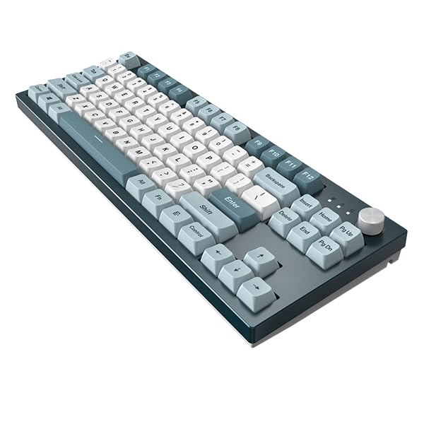 Montech MKey TKL Mechanical Gaming Keyboard: Customizable RGB LED, Premium MDA Profile PBT Keycap, Hot-Swappable Gateron G Red Pro 2.0 Pre-lubed Switches, Osaka Castle Theme, Freedom (MK87FR)