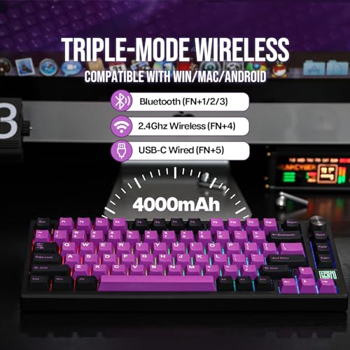 EPOMAKER TH80 SE Gasket 75% Mechanical Keyboard, NKRO Hot Swappable RGB 2.4Ghz/ Bluetooth 5.0/ Wired Gaming Keyboard with Poron/EVA Foam, 4000mah Battery (Black Purple, Flamingo Switch)