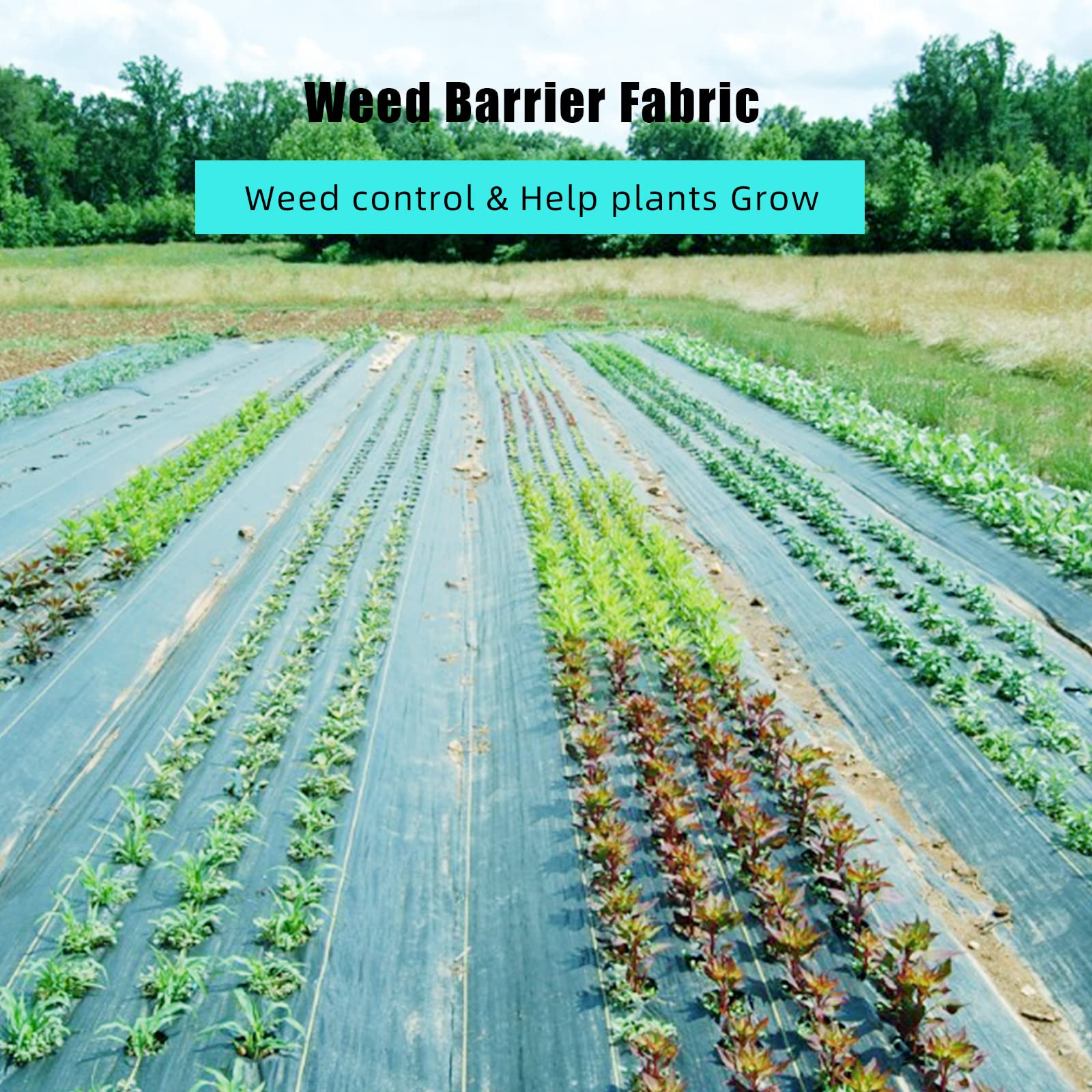 Broadfashion 01 Weed Barrier Landscape Fabric Heavy, Black