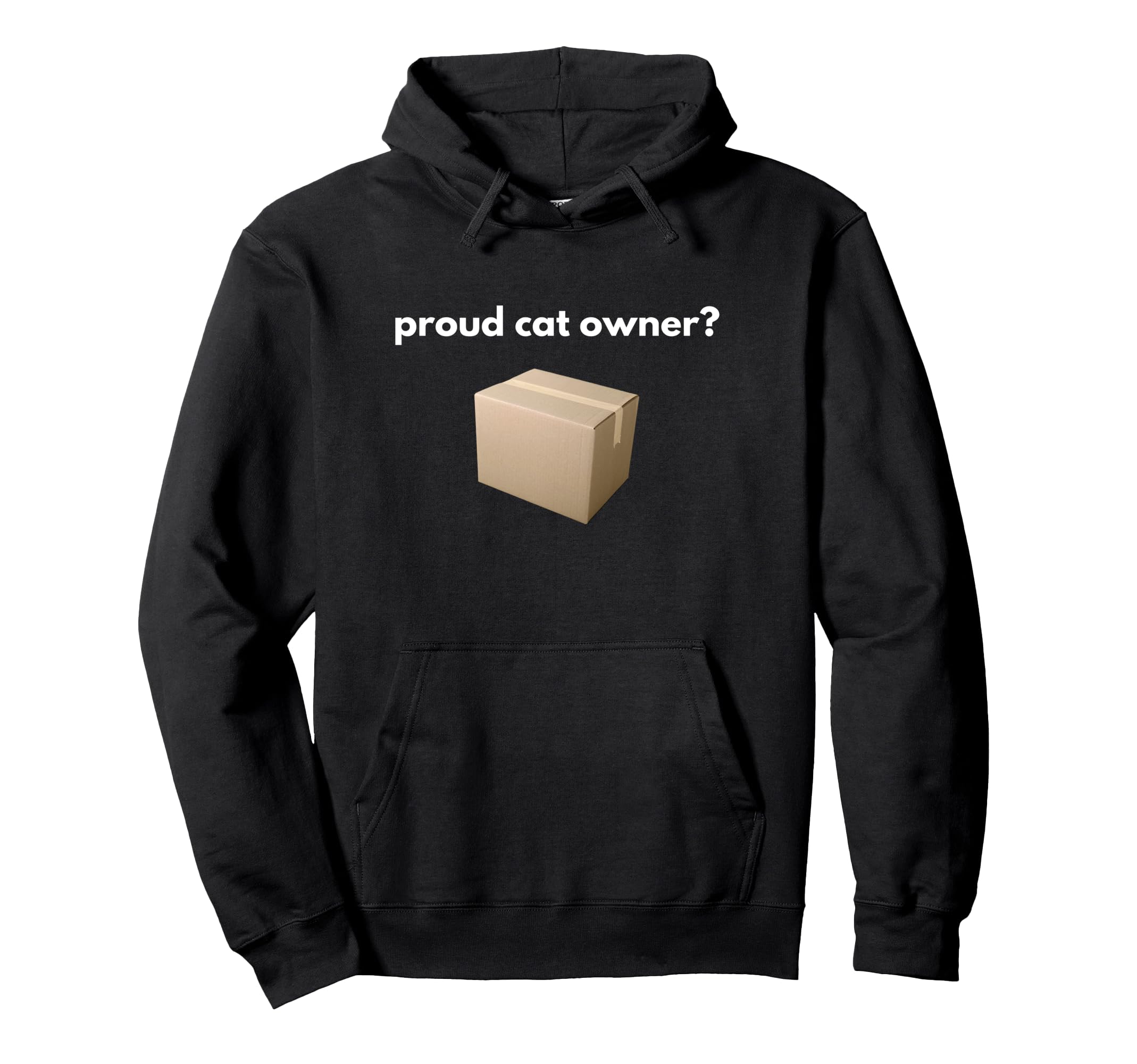proud cat owner? schrodingers cat funny Pullover Hoodie