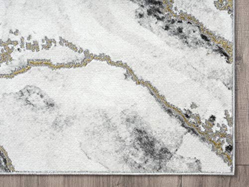 Abani Contemporary Area Rug, Non-Shed Modern Rugs Marble Print Dining Room Rug (Grey, 10' x 14')