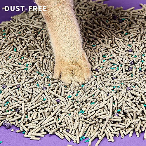 PETKIT 5 in 1 Mixed Cat Litter, Flushable, Odor Free, Activated Carbon, Ultra Absorbent and Fast Drying Tofu Cat Litter (Two-Packs)