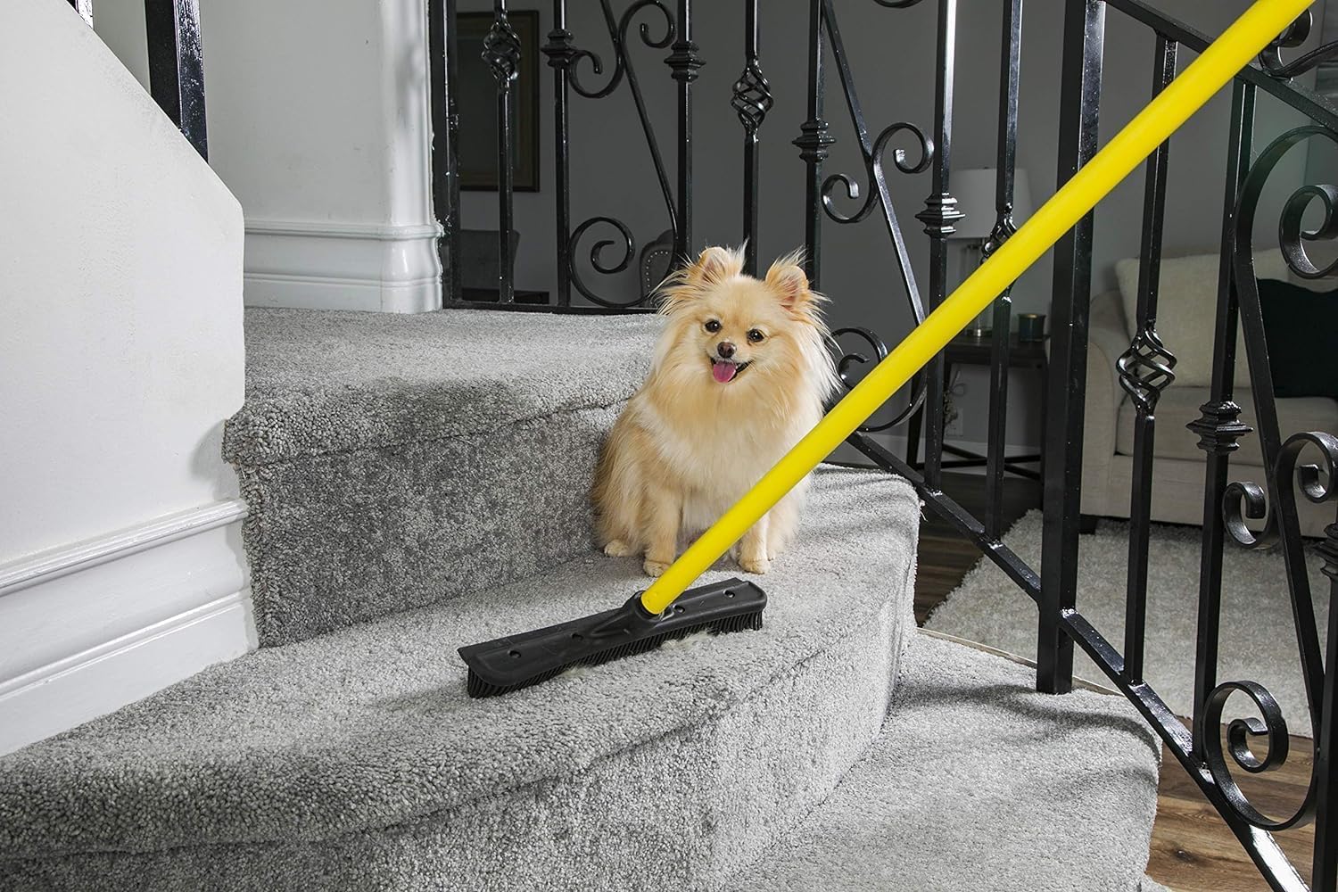 FURemover Pet Hair Removal Broom and Lint Brush Combo with Squeegee and Telescoping Handle That Extends from 3-5', Lint Brush Colors May Vary