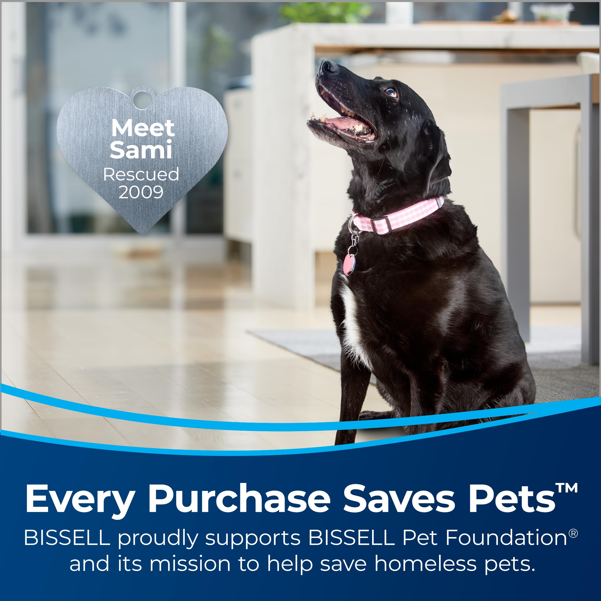 Bissell CleanView Swivel Pet Reach Vacuum Cleaner, Full-Size, Silver,Electric Green