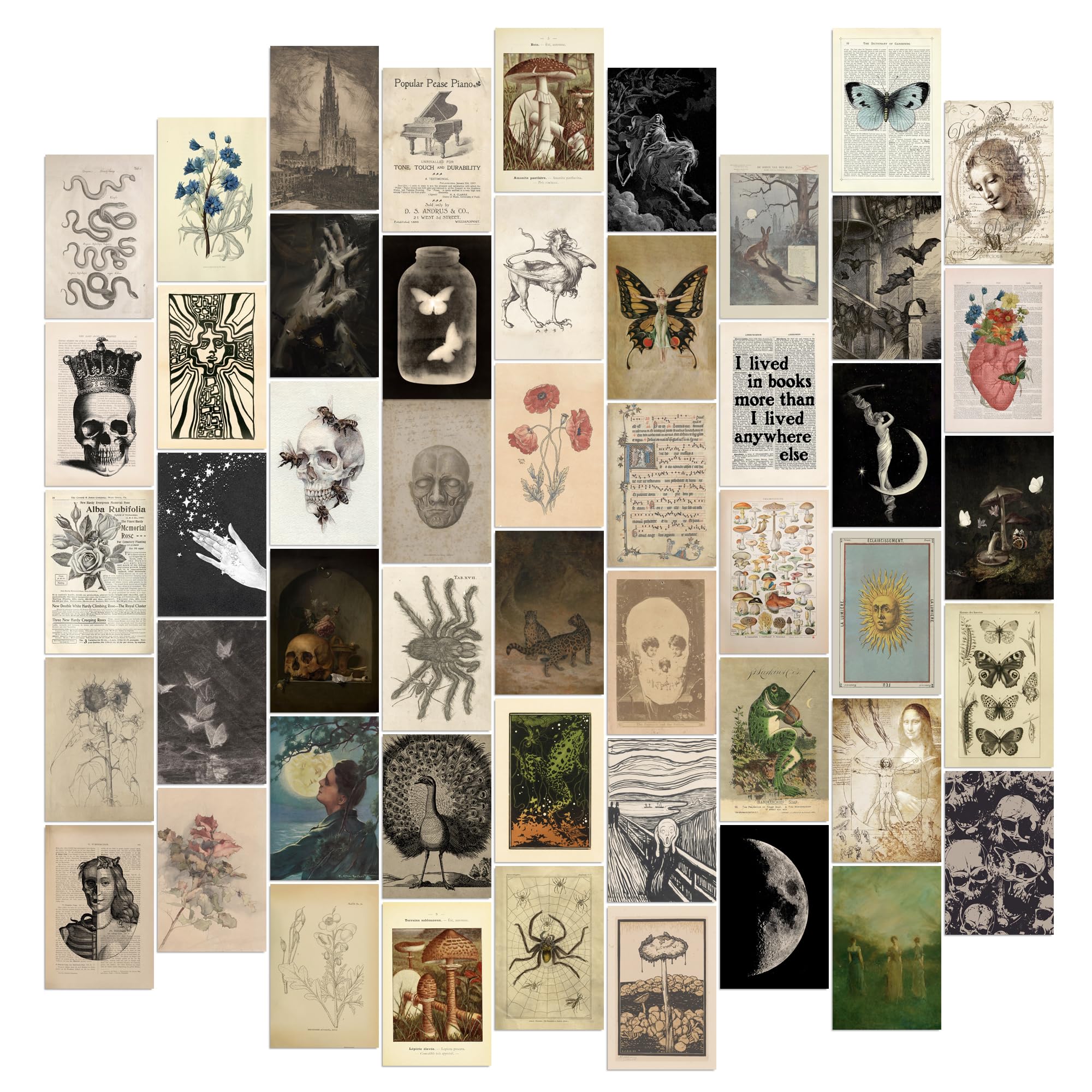 WaschbƤr 50PCS Vintage Rock Wall Collage Kit, Nirvana Band/Music Queen Posters Aesthetic 90s, Retro 70s Grunge Room DƩcor,