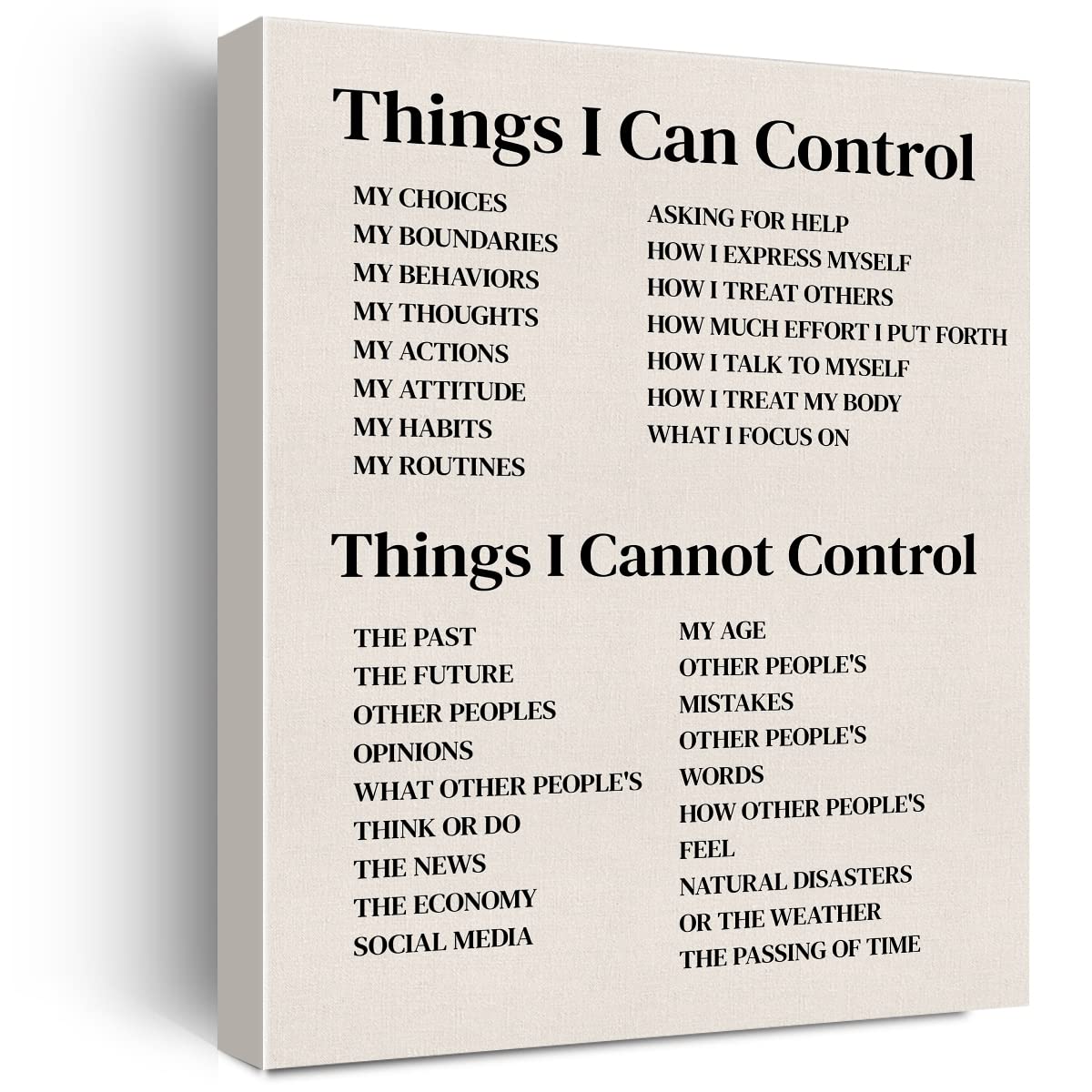 Mental Health Canvas Wall Art Poster Print Gift, Things I Can Control Painting Ready to Hang Home Therapy Office Decor (11.5" x 15")