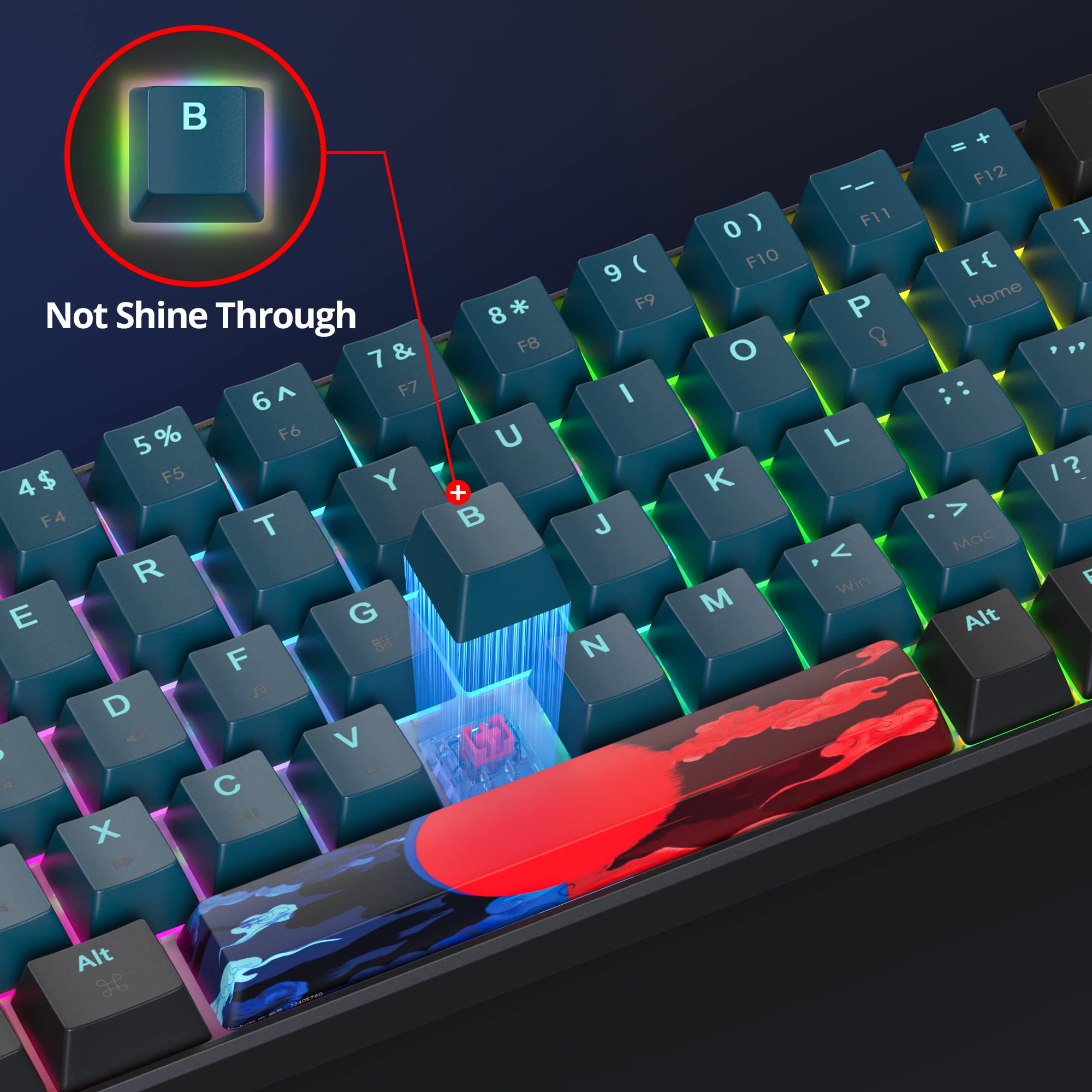 Ussixchare 65 Percent Mechanical Gaming Keyboard 68 Keys RGB Gaming Keyboard with Red Switch Wired Keyboard for Windows PS4/5 Xbox Gamers(68 Monster)