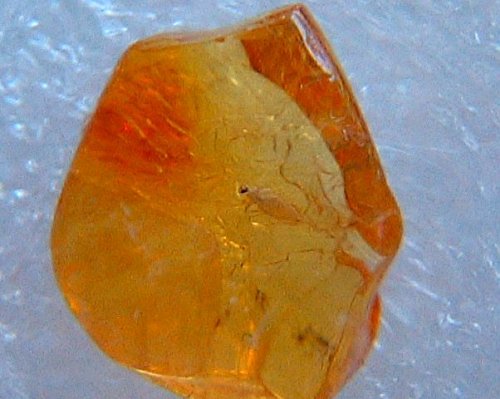 Genuine Baltic Amber Stone with Fossils Insects Inclusions in Magnifying Box 4 pcs