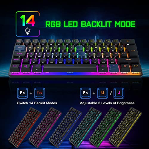 Compact 60% Mechanical Gaming Keyboard with Ergonomic Anti-ghosting Mini 61 Key Layout Rainbow RGB Backlight Waterproof Metal Plate Type-C USB Wired for PC Mac Gamer Office Typist (Black/Blue Switch)