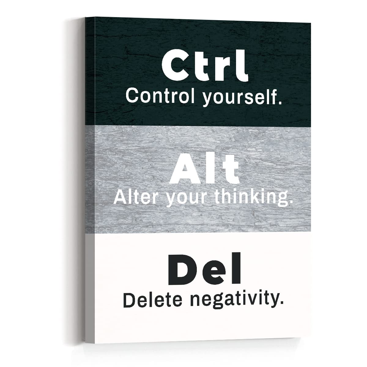 JANLAN Ctrl Alt Del Wall Art,Minimalist Office Wall Decor,Office Decorations for Work,Control Yourself Alter Your Thinking Delete Negativity Wall Decor