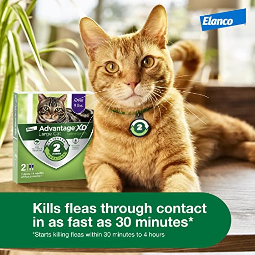 AdvantageĀ® XD NEW Flea Prevention & Treatment for Large Cats Over 9 lbs, 2 Topical Doses, 4-Month Coverage, Long Lasting