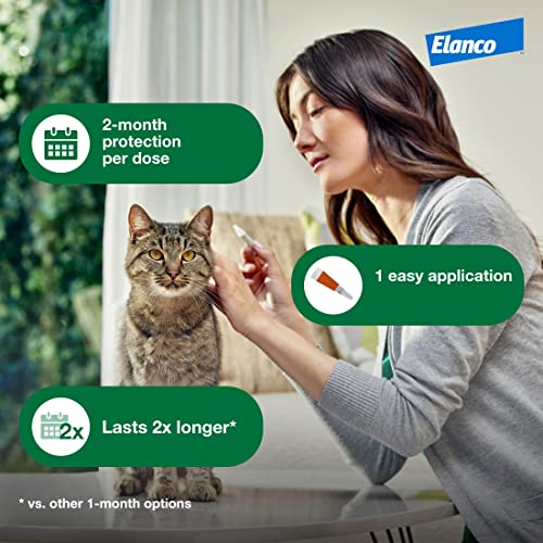 AdvantageĀ® XD NEW Flea Prevention & Treatment for Large Cats Over 9 lbs, 2 Topical Doses, 4-Month Coverage, Long Lasting