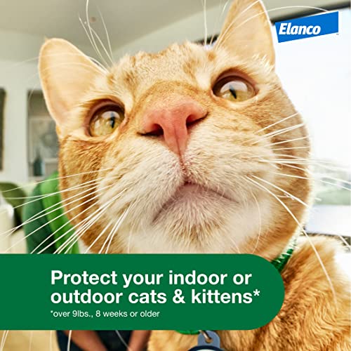 AdvantageĀ® XD NEW Flea Prevention & Treatment for Large Cats Over 9 lbs, 2 Topical Doses, 4-Month Coverage, Long Lasting