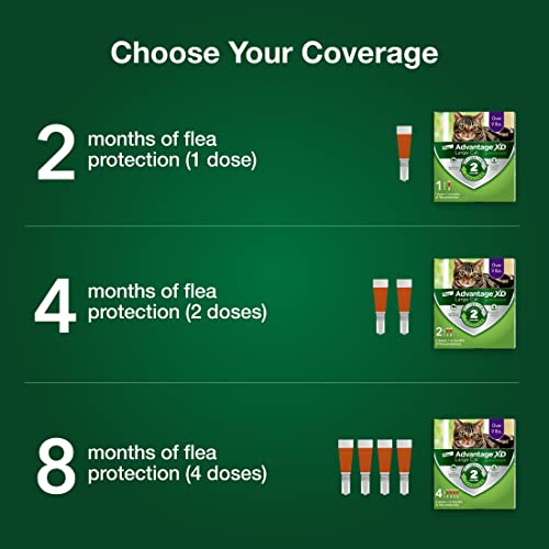 AdvantageĀ® XD NEW Flea Prevention & Treatment for Large Cats Over 9 lbs, 2 Topical Doses, 4-Month Coverage, Long Lasting