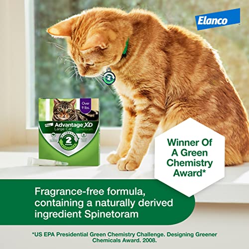 AdvantageĀ® XD NEW Flea Prevention & Treatment for Large Cats Over 9 lbs, 2 Topical Doses, 4-Month Coverage, Long Lasting