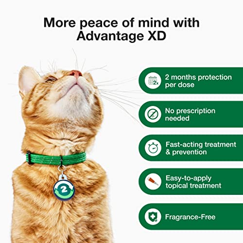 AdvantageĀ® XD NEW Flea Prevention & Treatment for Large Cats Over 9 lbs, 2 Topical Doses, 4-Month Coverage, Long Lasting