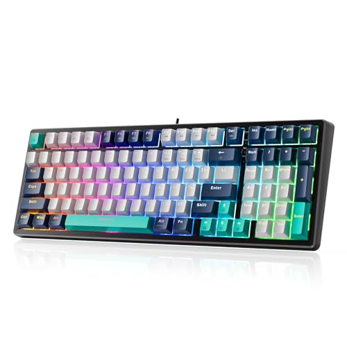 EarlyLit Hot-Swappable Mechanical Keyboard, Wired Gaming Keyboard with Numeric Pad,Quiet Gasket and Red Switches,Programmable RGB Backlit, Compact 98Keys Computer Keyboard for PC Mac Xbox Gamer
