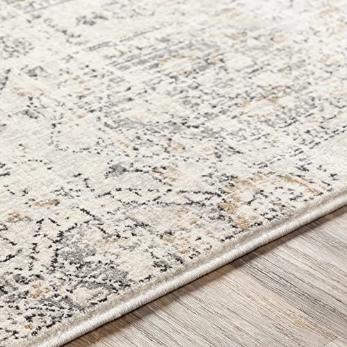 Bluffs Moroccan Farmhouse Living Room Bedroom Dining Room Square Area Rug - Bohemian Style - Boho Vintage Distressed Carpet - Beige, Gray, Brown, Cream - 6'7" Square
