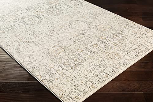 Bluffs Moroccan Farmhouse Living Room Bedroom Dining Room Square Area Rug - Bohemian Style - Boho Vintage Distressed Carpet - Beige, Gray, Brown, Cream - 6'7" Square