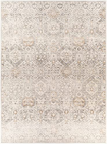 Bluffs Moroccan Farmhouse Living Room Bedroom Dining Room Square Area Rug - Bohemian Style - Boho Vintage Distressed Carpet - Beige, Gray, Brown, Cream - 6'7" Square