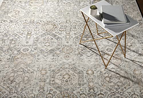 Bluffs Moroccan Farmhouse Living Room Bedroom Dining Room Square Area Rug - Bohemian Style - Boho Vintage Distressed Carpet - Beige, Gray, Brown, Cream - 6'7" Square