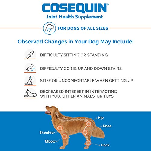 Nutramax Cosequin Joint Health Supplement for Dogs - With Glucosamine, Chondroitin, MSM, and Omega-3's, 60 Soft Chews