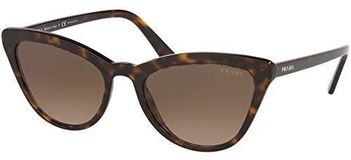Prada Catwalk PR 01VS 2AU6S1 Havana Plastic Cat-Eye Sunglasses Brown Gradient Lens