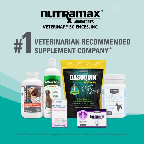 Nutramax Dasuquin Joint Health Supplement for Small to Medium Dogs - With Glucosamine, Chondroitin, ASU, Boswellia Serrata Extract, Green Tea Extract, 150 Chewable Tablets