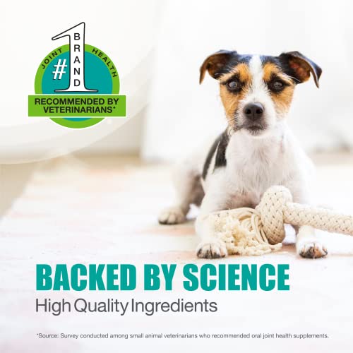 Nutramax Dasuquin Joint Health Supplement for Small to Medium Dogs - With Glucosamine, Chondroitin, ASU, Boswellia Serrata Extract, Green Tea Extract, 150 Chewable Tablets