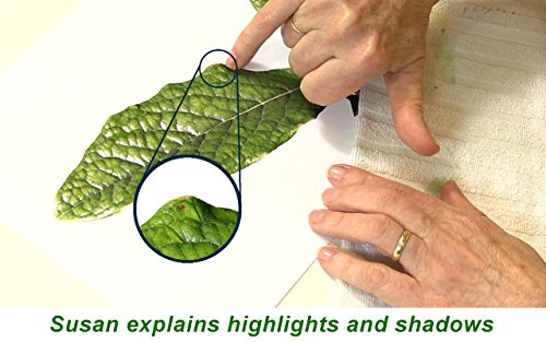 Susan Harrison-Tustain's Watercolor Masterclass Volume One. Life-like leaves, vibrant greens and 5 crucial elements for a successful painting.