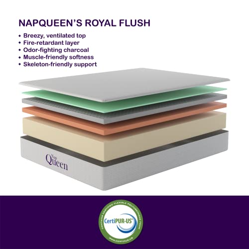 NapQueen 8 Inch Bamboo Charcoal Queen Size Medium Firm Memory Foam Mattress, Bed in a Box