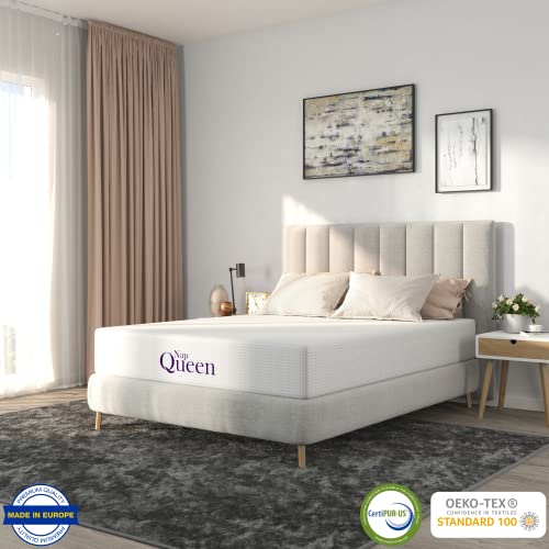 NapQueen 8 Inch Bamboo Charcoal Queen Size Medium Firm Memory Foam Mattress, Bed in a Box