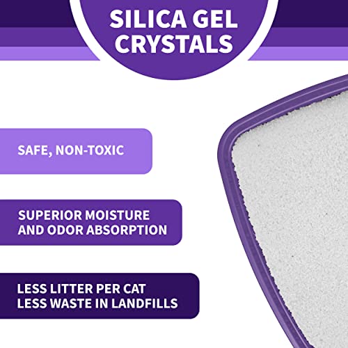 Litter Pearls Ultra Clump Unscented Crystal Clumping Cat Litter 8lb,White and Clear Crystals,10580