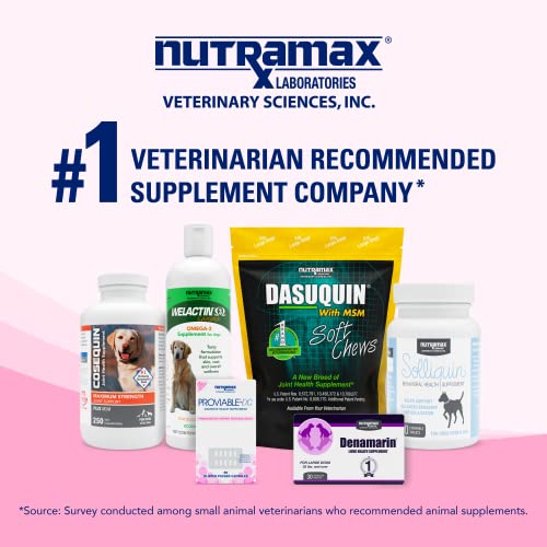 Nutramax Proviable Digestive Health Supplement Multi-Strain Probiotics and Prebiotics for Cats and Dogs - with 7 Strains of Bacteria, 80 Capsules