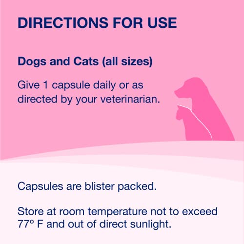 Nutramax Proviable Digestive Health Supplement Multi-Strain Probiotics and Prebiotics for Cats and Dogs - with 7 Strains of Bacteria, 80 Capsules