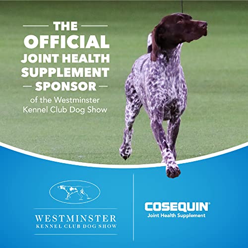 Nutramax Cosequin Standard Strength Joint Health Supplement for Dogs, With Glucosamine and MSM, 75 Chewable Tablets