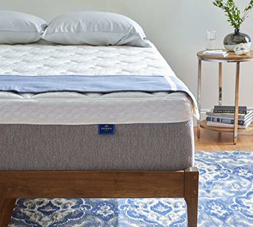 Serenia Sleep 14 Inch Quilted Sculpted Plush Gel Memory Foam Mattress -Queen