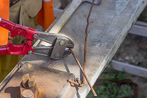 RIDGID 14228 Model S30 Heavy-Duty Bolt Cutter, 31β, Red & WORKPRO W017004A Bolt Cutter, Bi-Material Handle with Soft Rubber Grip, 14", Chrome Molybdenum Steel Blade