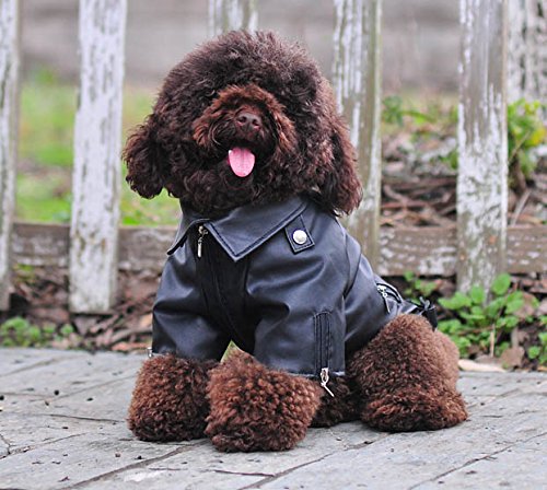 Lovelonglong Cool Dog Leather Jacket, Warm Coats Dogs Windproof Cold Weather Coats for Large Medium Small Dogs, Beagle Clothing Black L-S