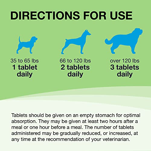 Nutramax Denosyl Liver and Brain Health Supplement for Large Dogs, With S-Adenosylmethionine (SAMe), 30 Tablets