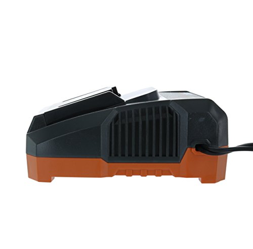 Ridgid Genuine OEM R86092 Dual Chemistry 18V Lithium Ion / NiCad Battery Charger