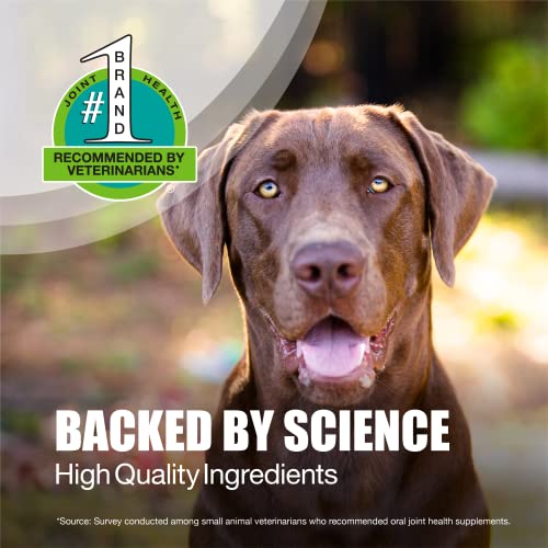 Nutramax Dasuquin Joint Health Supplement for Large Dogs - With Glucosamine, Chondroitin, ASU, Boswellia Serrata Extract, Green Tea Extract, 150 Chewable Tablets