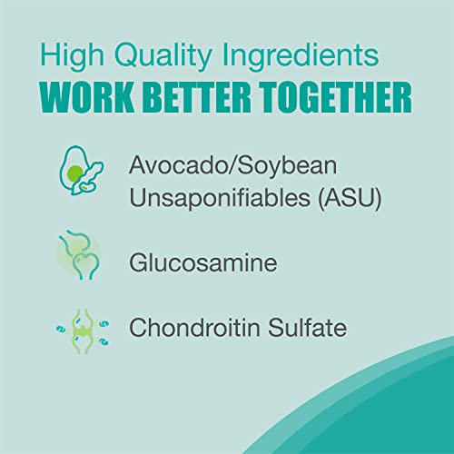 Nutramax Dasuquin Joint Health Supplement for Large Dogs - With Glucosamine, Chondroitin, ASU, Boswellia Serrata Extract, and Green Tea Extract, 84 Chewable Tablets