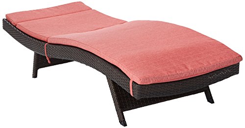 Christopher Knight Home Salem Outdoor Chaise Lounge