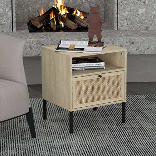Natural Rattan Nightstand, End Table, Bedside Table, Modern Side Table with 1 Hand Made Decorated Door for Living Room, Bedroom