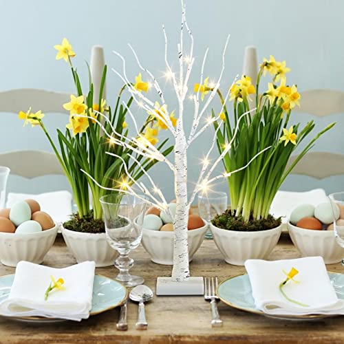 PEIDUO Easter Decorations for The Home, Easter Tree Battery Powered Timer, Lighted Birch Tree with LED Lights, Artificial Tree Lamp for Easter Home Decor (2FT Warm White)