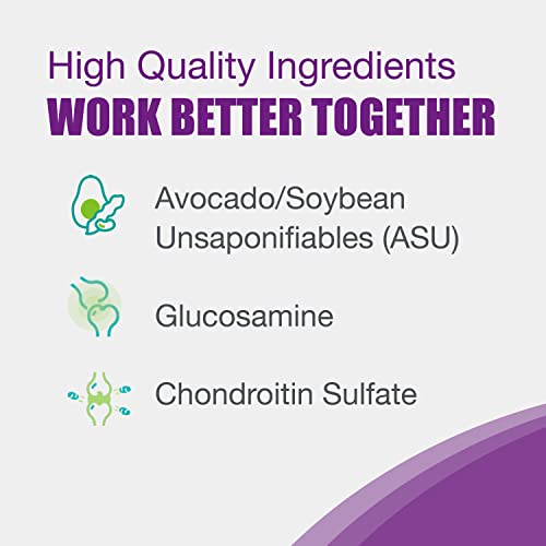 Nutramax Dasuquin Joint Health Supplement for Cats - With Glucosamine, Chondroitin, ASU, Boswellia Serrata Extract, Green Tea Extract, and Omega-3, 84 Soft Chews