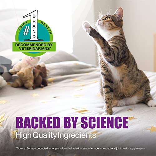 Nutramax Dasuquin Joint Health Supplement for Cats - With Glucosamine, Chondroitin, ASU, Boswellia Serrata Extract, Green Tea Extract, and Omega-3, 84 Soft Chews