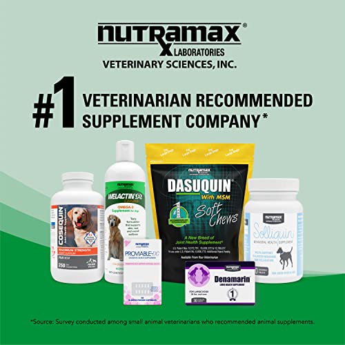 Nutramax Welactin Omega-3 Fish Oil Skin and Coat Health Supplement Liquid for Dogs, 120 Softgels