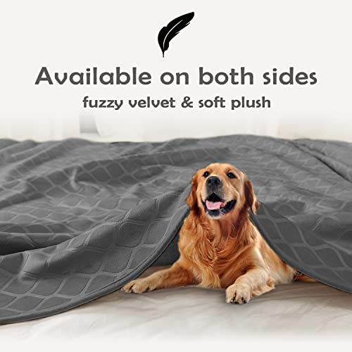 fuguitex Dog Blanket Bed Cover Dog Crystal Velvet Moroccan Fuzzy Cozy Plush Pet Blanket Throw Blanket for Couch Sofa